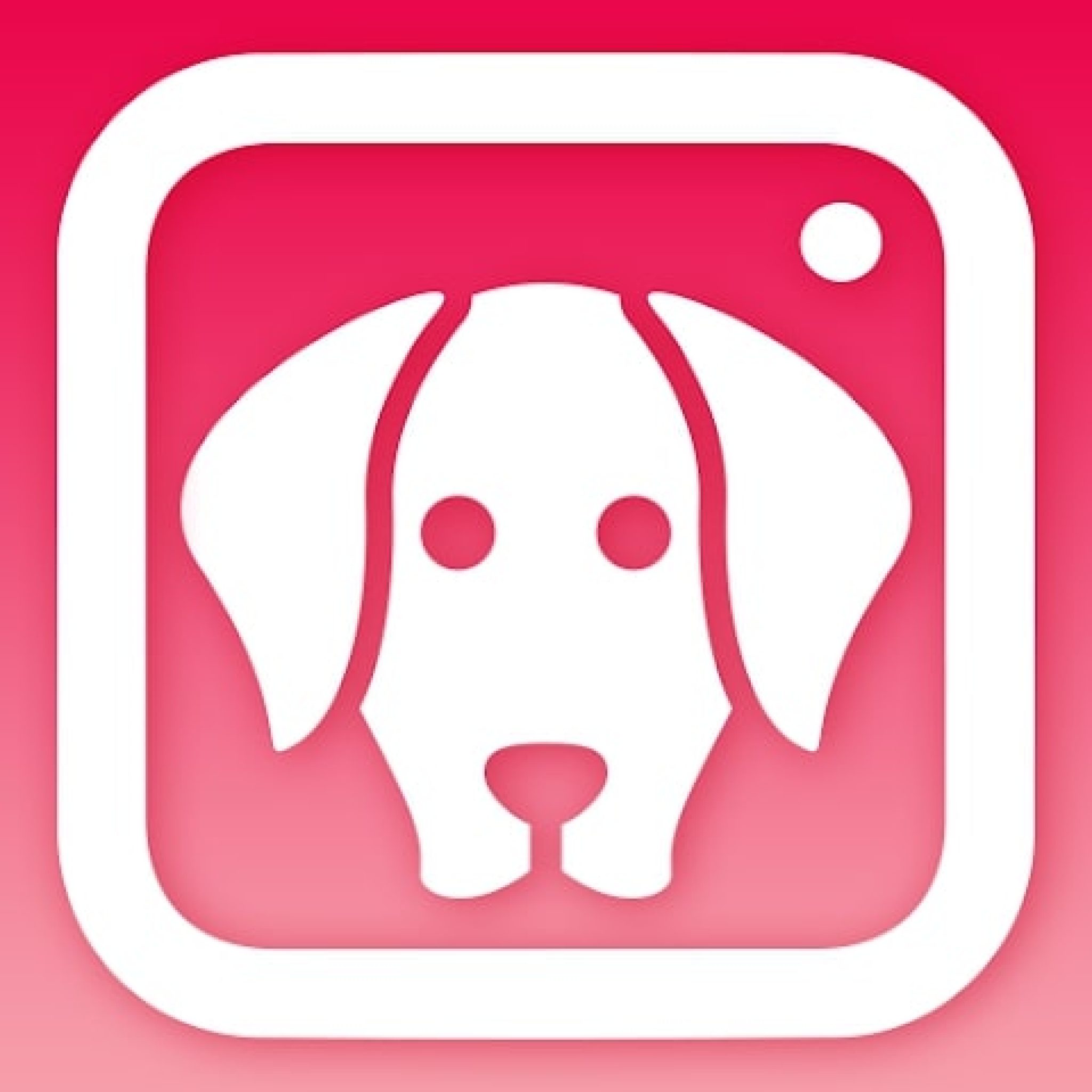 5 Best Cartoon Apps For Dogs 2022 (Android & iOS) | Free apps for ...