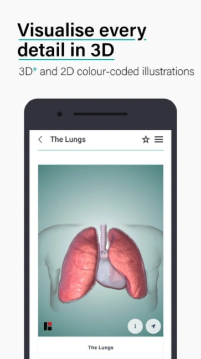 7 Free Muscle Anatomy Apps For Android & iOS | Free apps for Android ...