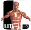 7 Free Muscle Anatomy Apps For Android & iOS | Free apps for Android ...