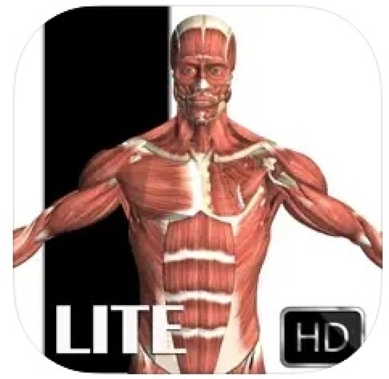 7 Free Muscle Anatomy Apps For Android & iOS | Free apps for Android ...