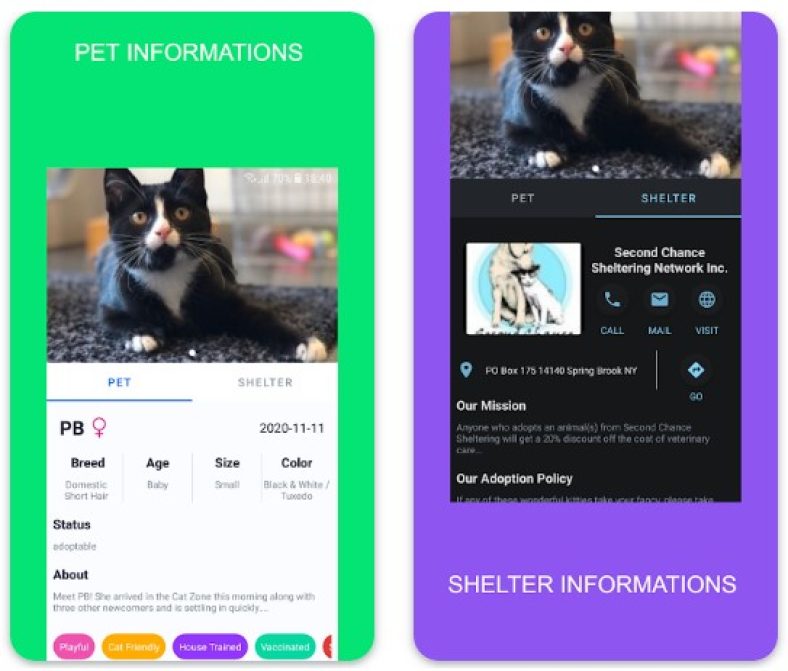 7 Best Pet Adoption Apps in 2025 (Android & iOS) | Freeappsforme - Free ...