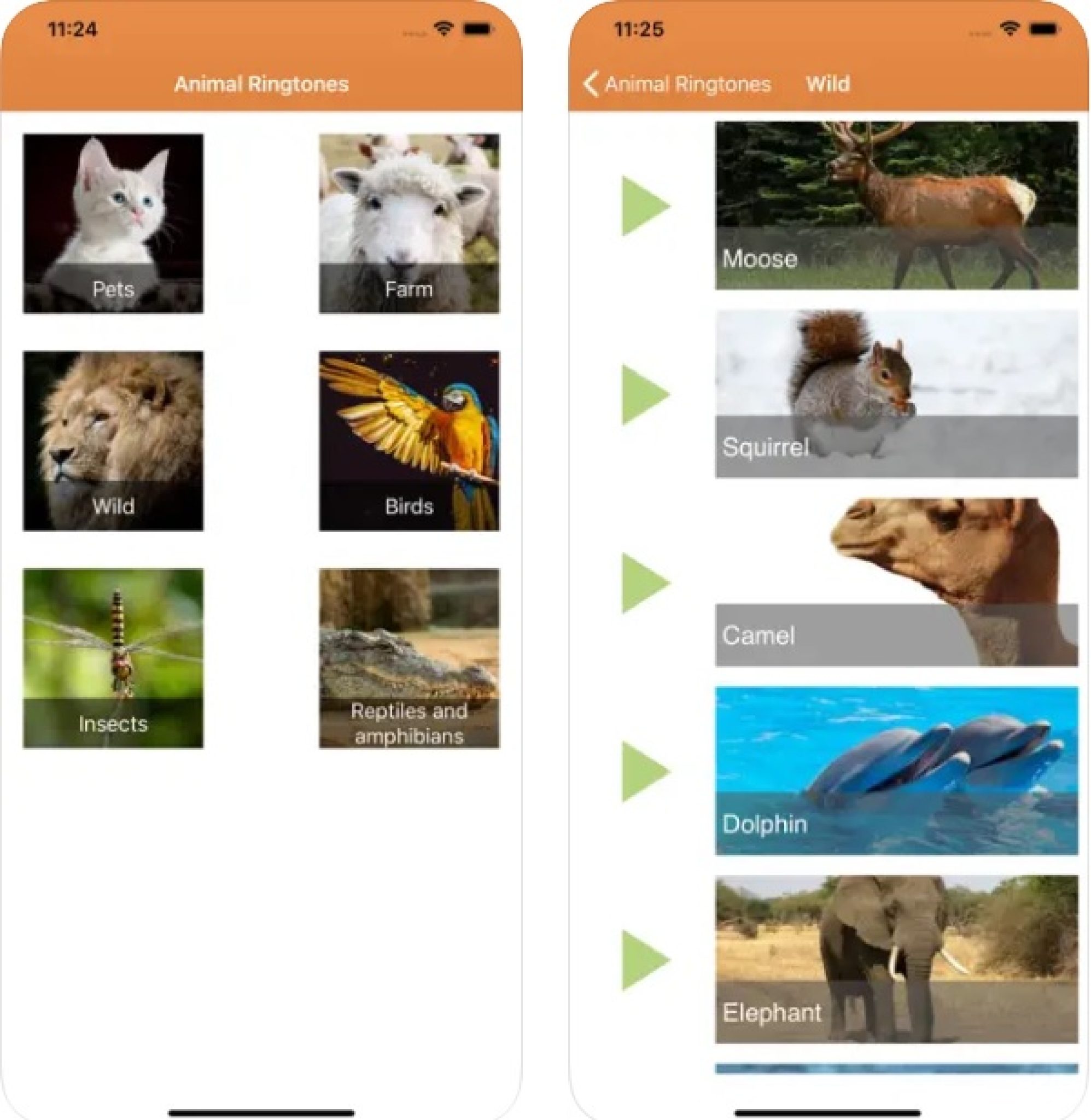 7 Best Animal Sounds Ringtones Apps for Android & iPhone ...