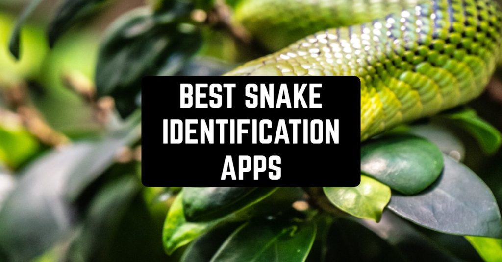 5 Best Snake Identification Apps for Android & iOS | Freeappsforme ...