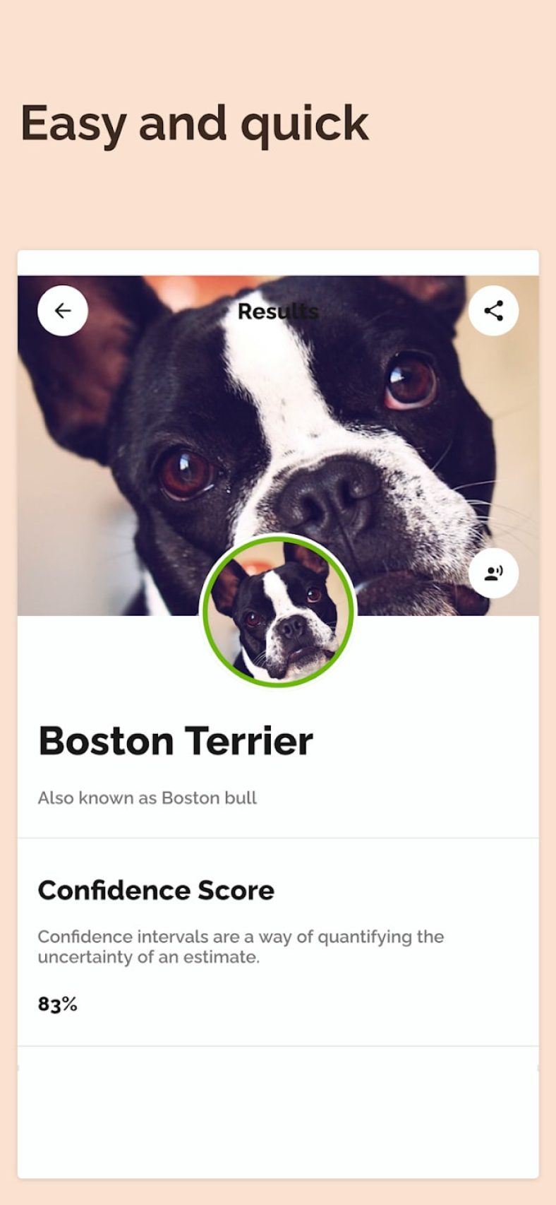 9 Free Dog Breed Identifier Apps 2023 (Android & iOS) | Free apps for ...