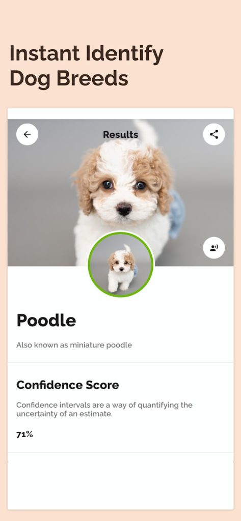 9 Free Dog Breed Identifier Apps 2023 (Android & iOS) | Free apps for ...