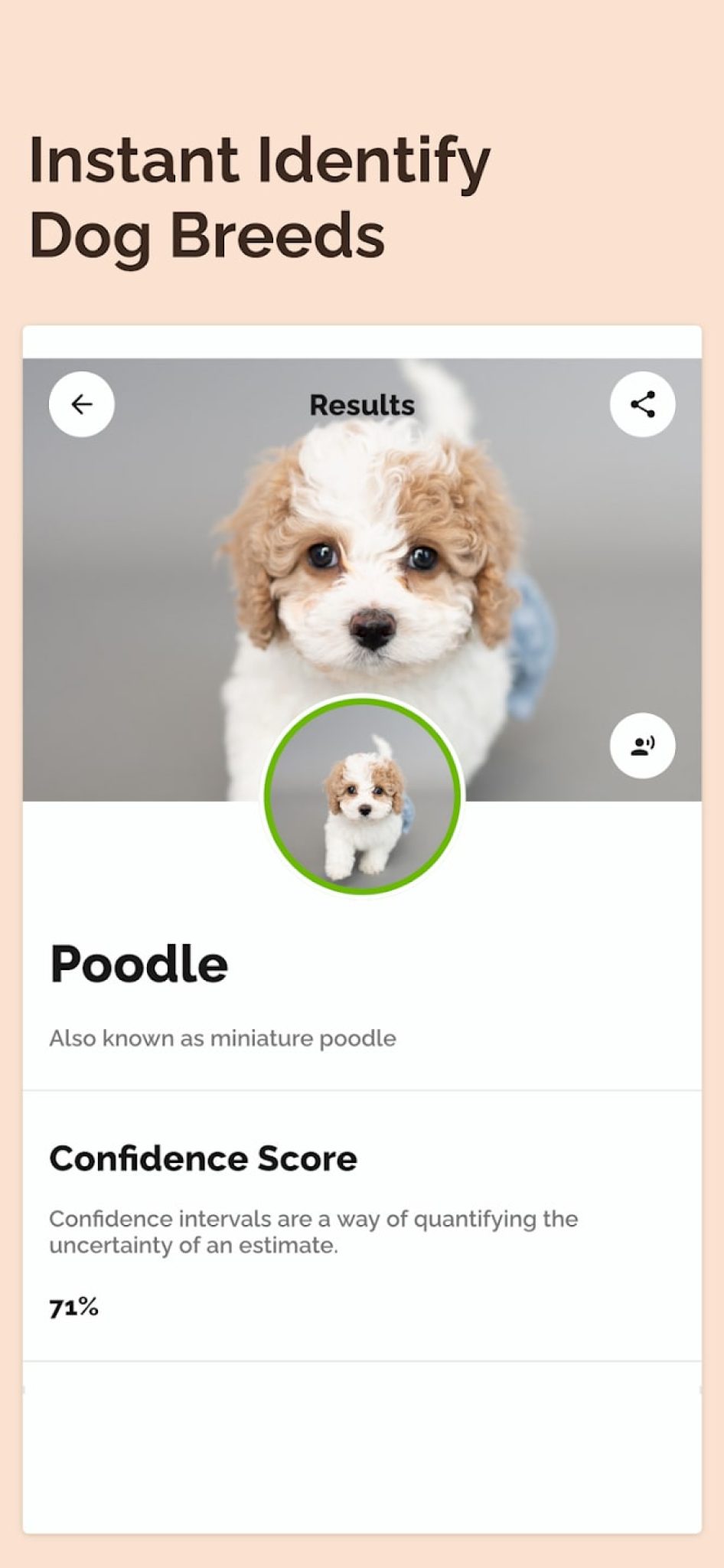 9 Free Dog Breed Identifier Apps 2022 (Android & iOS) | Free apps for Android and iOS