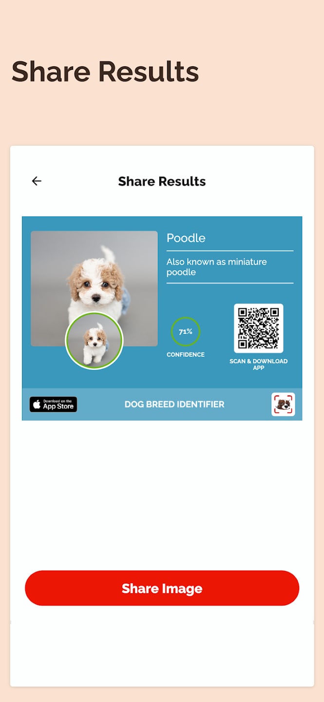 9 Free Dog Breed Identifier Apps 2022 (Android & iOS) | Free apps for ...