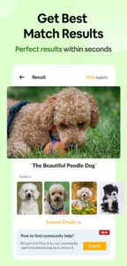 12 Free Dog Breed Identifier Apps 2026 (Android & iOS) | Freeappsforme ...