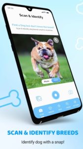 12 Free Dog Breed Identifier Apps 2025 (Android & iOS) | Freeappsforme - Free apps for Android ...