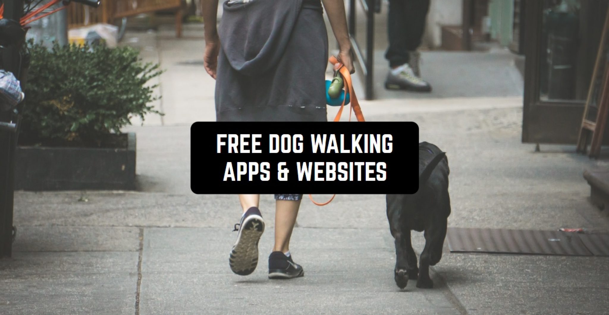 11 Free Dog Walking Apps & Websites 2025 for the USA | Freeappsforme ...
