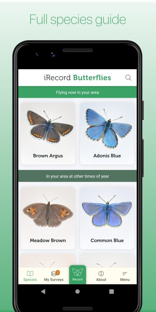 7 Best Butterfly Identification Apps for Android & iOS | Free apps for ...