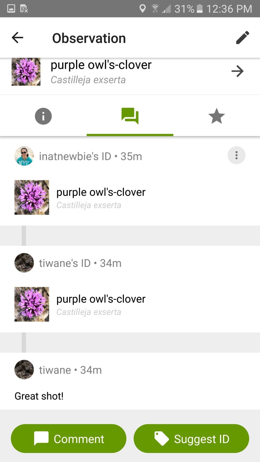 7 Best Leaf Identification Apps in 2025 for Android & iOS ...