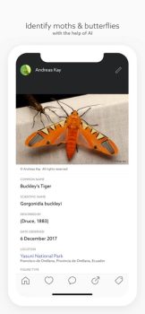 7 Best Butterfly Identification Apps for Android & iOS | Free apps for ...
