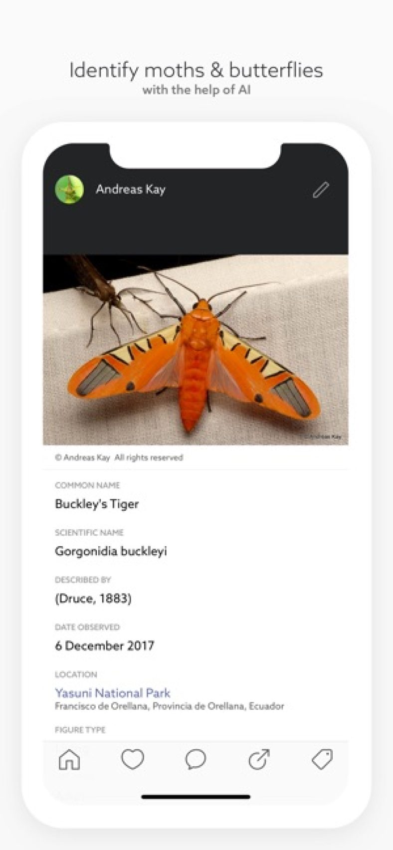 7 Best Butterfly Identification Apps for Android & iOS | Freeappsforme ...