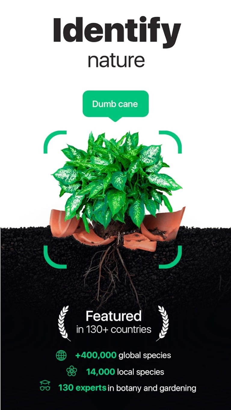 9 Apps to Identify Wood by Picture (Android & iOS) | Freeappsforme ...