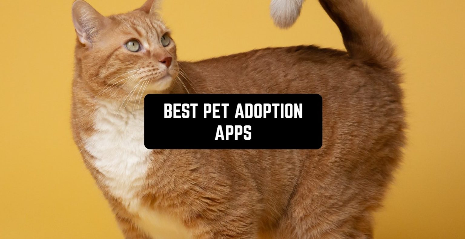 7 Best Pet Adoption Apps in 2026 (Android & iOS) | Freeappsforme - Free ...