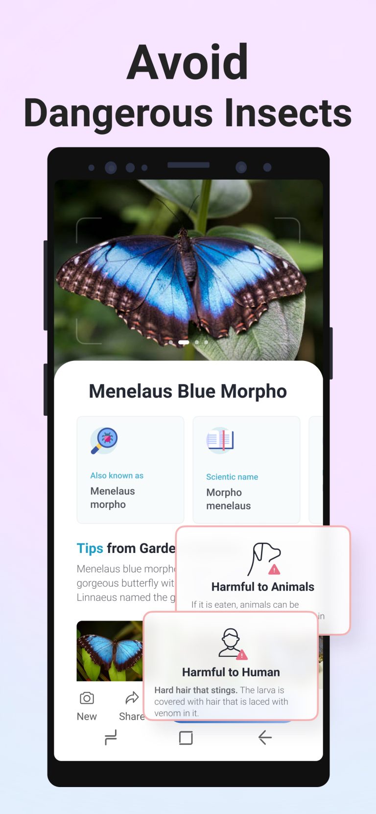 8 Best Spider Identification Apps for Android & iOS | Freeappsforme ...