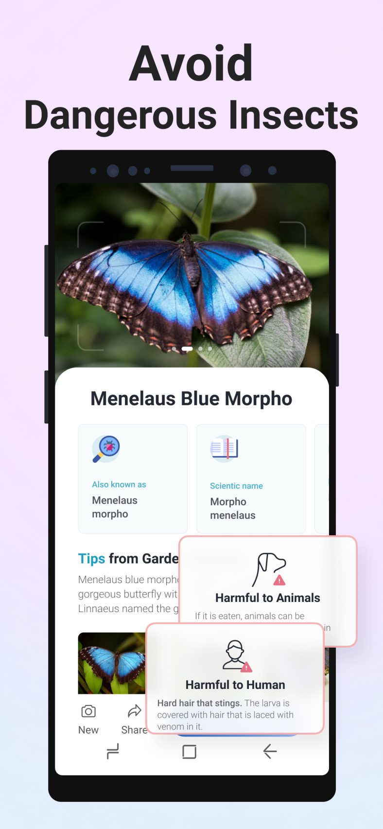 8 Best Spider Identification Apps for Android & iOS | Freeappsforme ...
