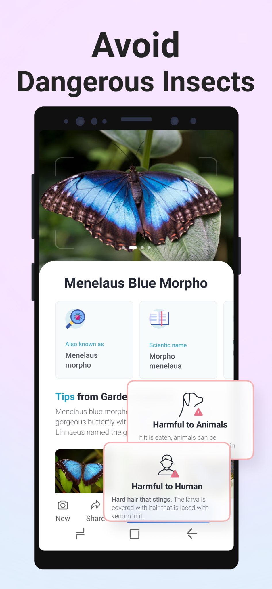 8 Best Spider Identification Apps for Android & iOS | Freeappsforme ...