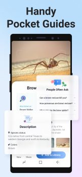 8 Best Spider Identification Apps for Android & iOS | Freeappsforme ...