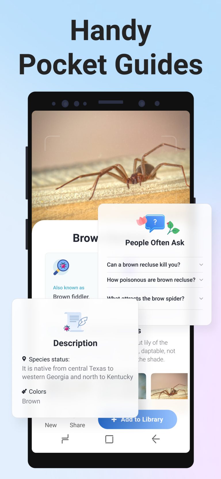 8 Best Spider Identification Apps for Android & iOS | Freeappsforme ...