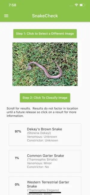 5 Best Snake Identification Apps for Android & iOS | Freeappsforme ...
