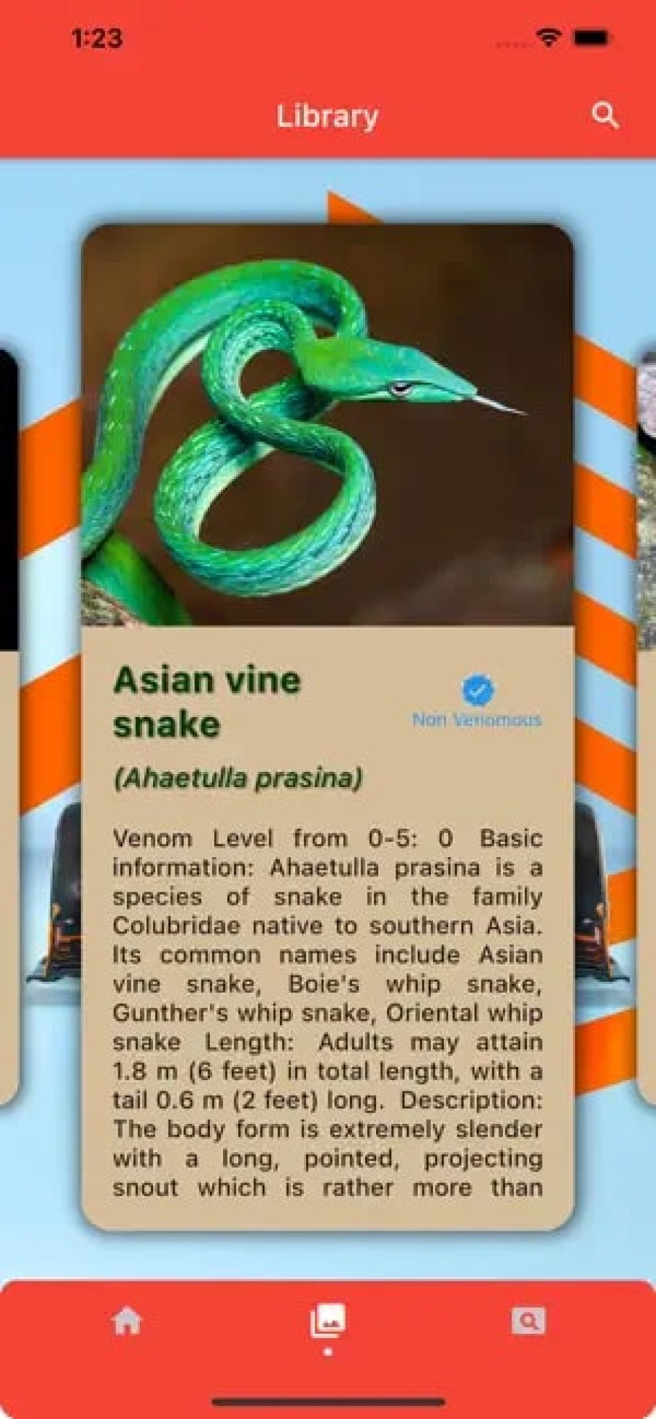 5 Best Snake Identification Apps for Android & iOS | Free apps for ...