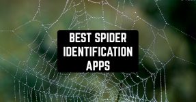 5 Best Spider Identification Apps for Android & iOS | Freeappsforme ...