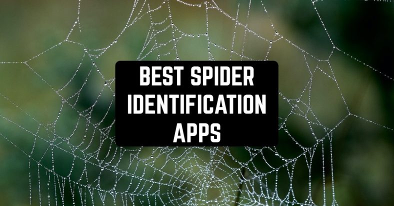5 Best Spider Identification Apps for Android & iOS | Freeappsforme ...