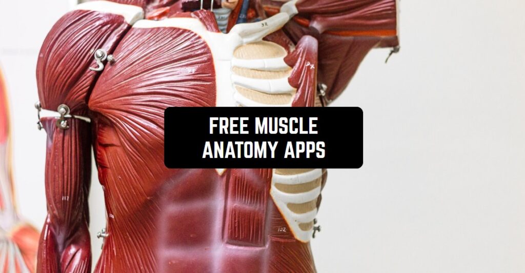 8 Free Muscle Anatomy Apps For Android & iOS | Freeappsforme - Free ...