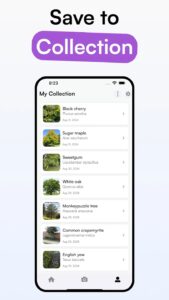 9 Apps to Identify Wood by Picture (Android & iOS) | Freeappsforme ...