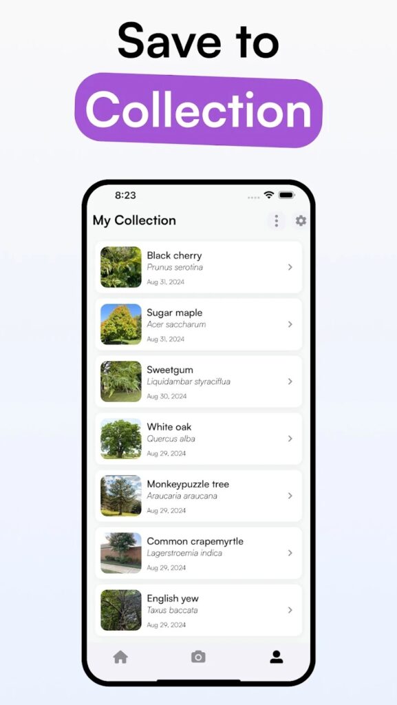 9 Apps to Identify Wood by Picture (Android & iOS) | Freeappsforme ...