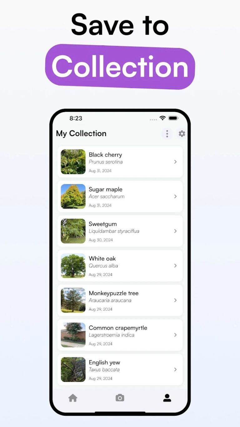 9 Apps to Identify Wood by Picture (Android & iOS) | Freeappsforme ...