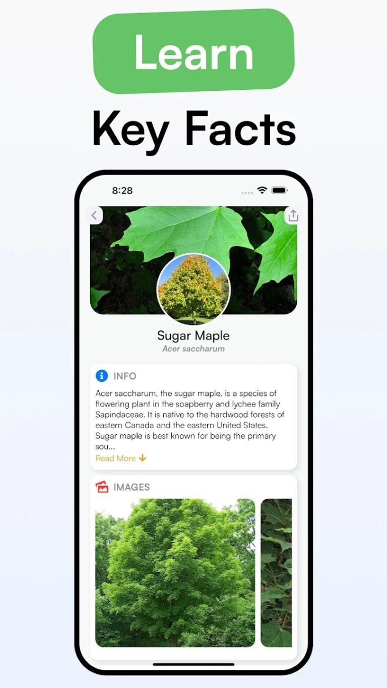 9 Apps to Identify Wood by Picture (Android & iOS) | Freeappsforme ...