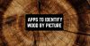9 Apps to Identify Wood by Picture (Android & iOS) | Freeappsforme ...