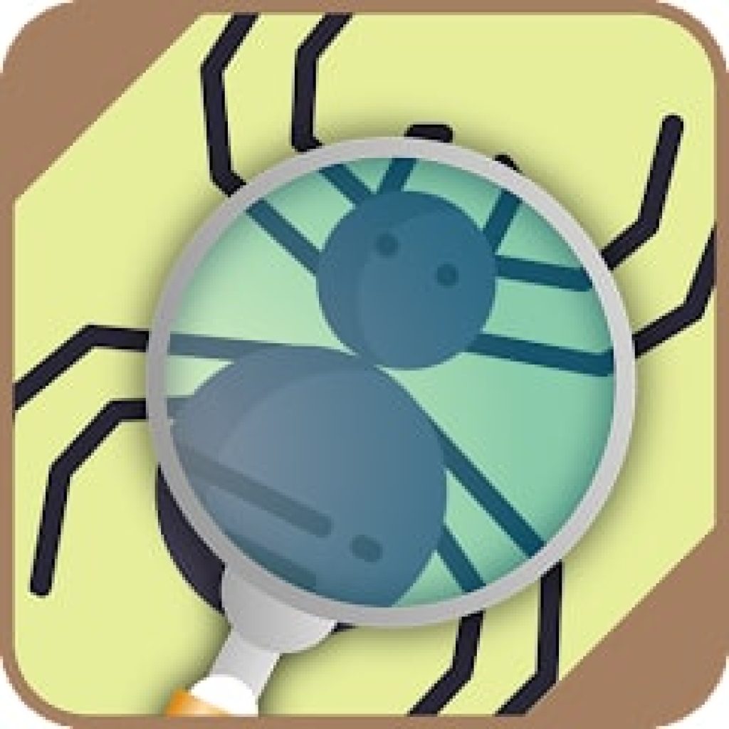 8 Best Spider Identification Apps for Android & iOS | Freeappsforme ...