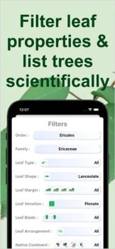 4 Apps to Identify Wood by Picture (Android & iOS) | Freeappsforme ...