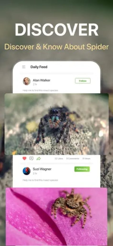 5 Best Spider Identification Apps for Android & iOS | Freeappsforme ...