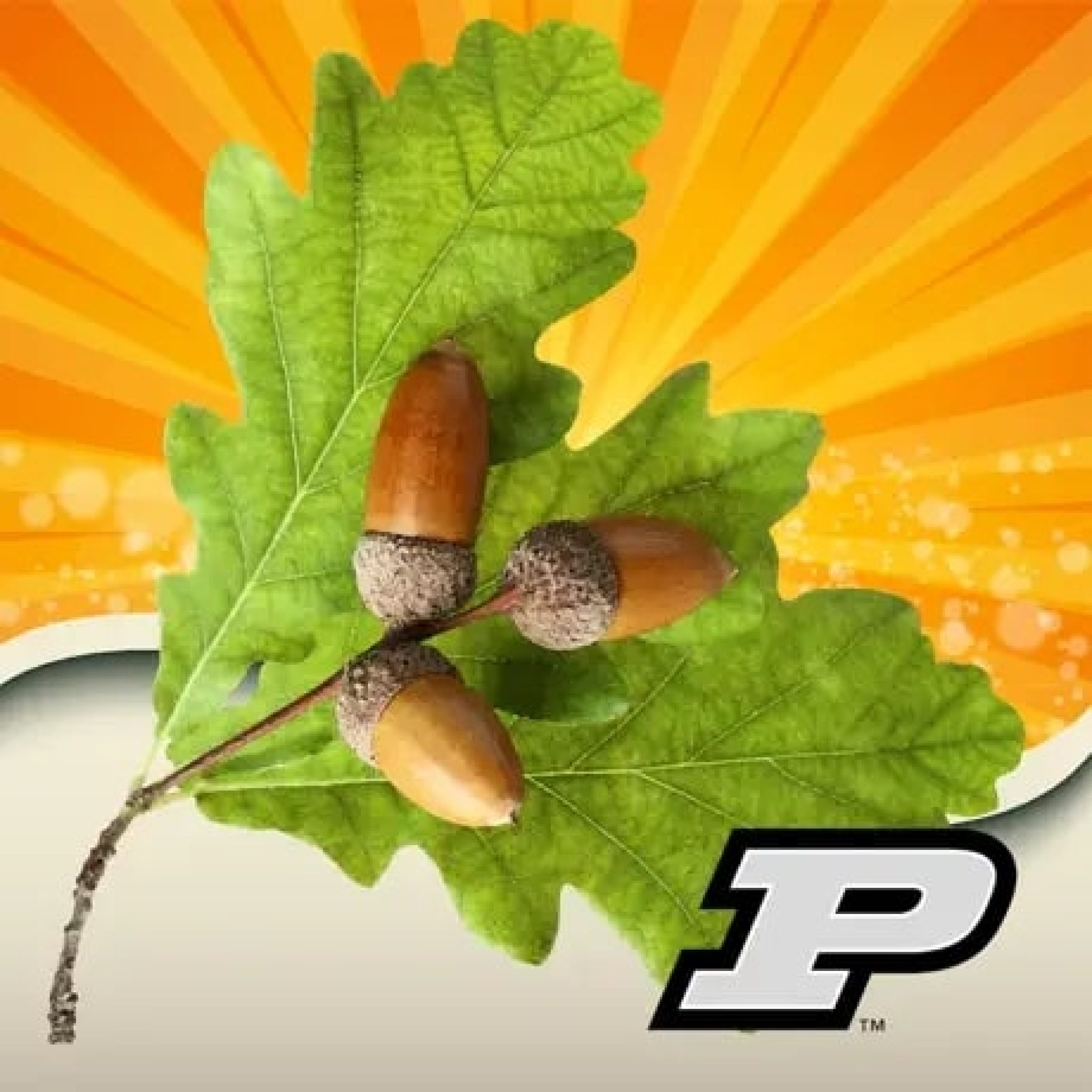 11 Best Plant Disease Identification Apps For Android & iOS ...