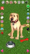 11 Best Talking Dog Apps 2025 (Android & iOS) | Freeappsforme - Free ...