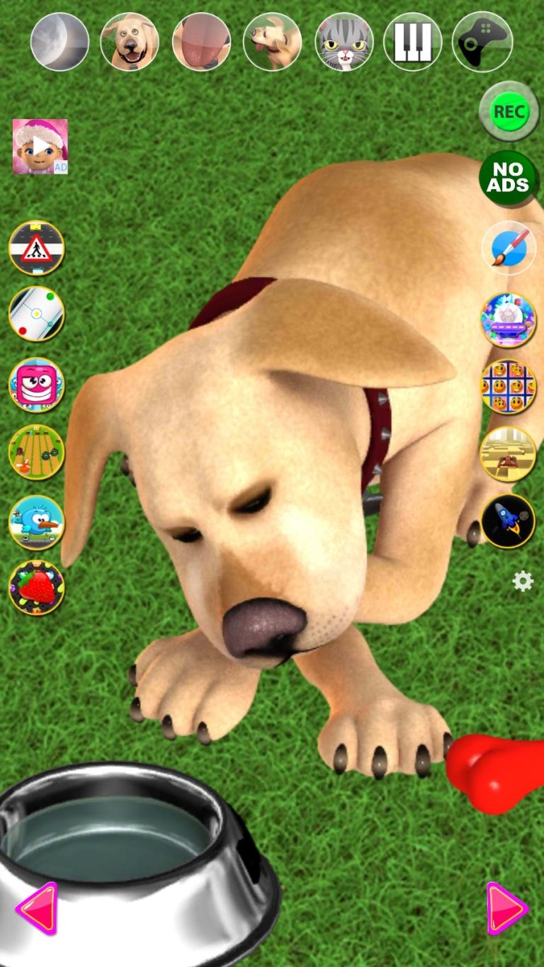 11 Best Talking Dog Apps 2025 (Android & iOS) | Freeappsforme - Free ...