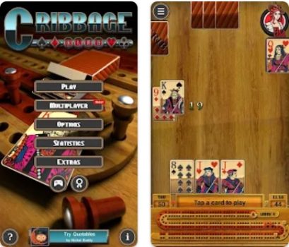 11 Best Cribbage Apps to Play Online & Offline (Android & iOS ...