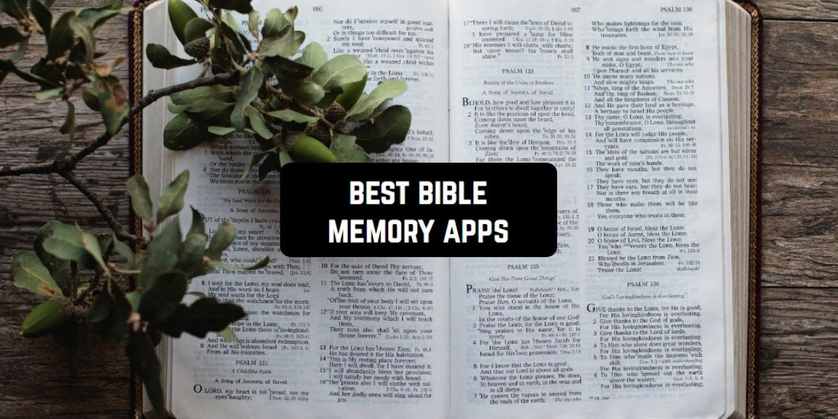 8 Best Bible Memory Apps 2023 (Android & iOS) | Freeappsforme - Free ...