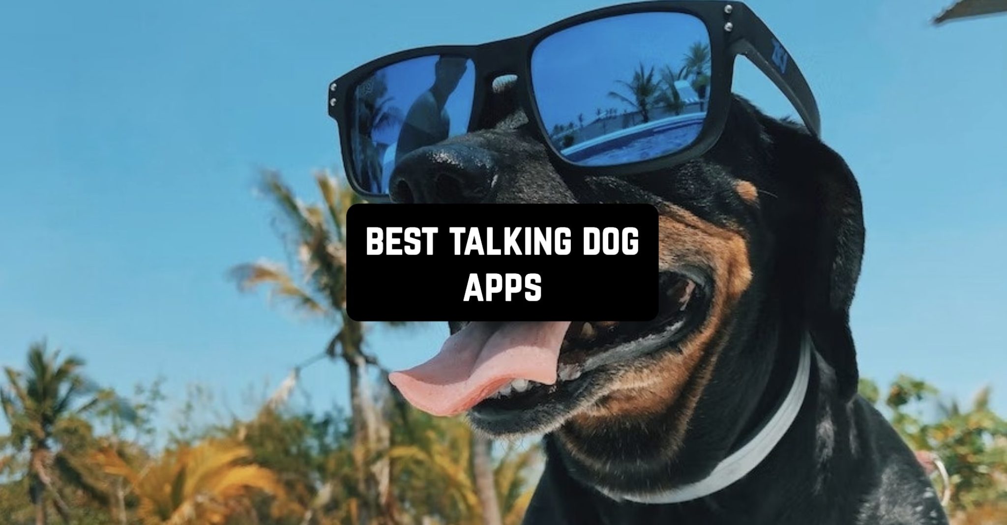 11 Best Talking Dog Apps 2025 (Android & iOS) | Freeappsforme - Free ...