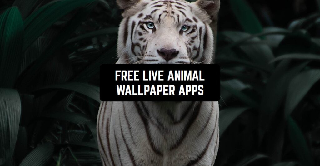 8 Free Live Animal Wallpaper Apps for Android | Freeappsforme - Free ...
