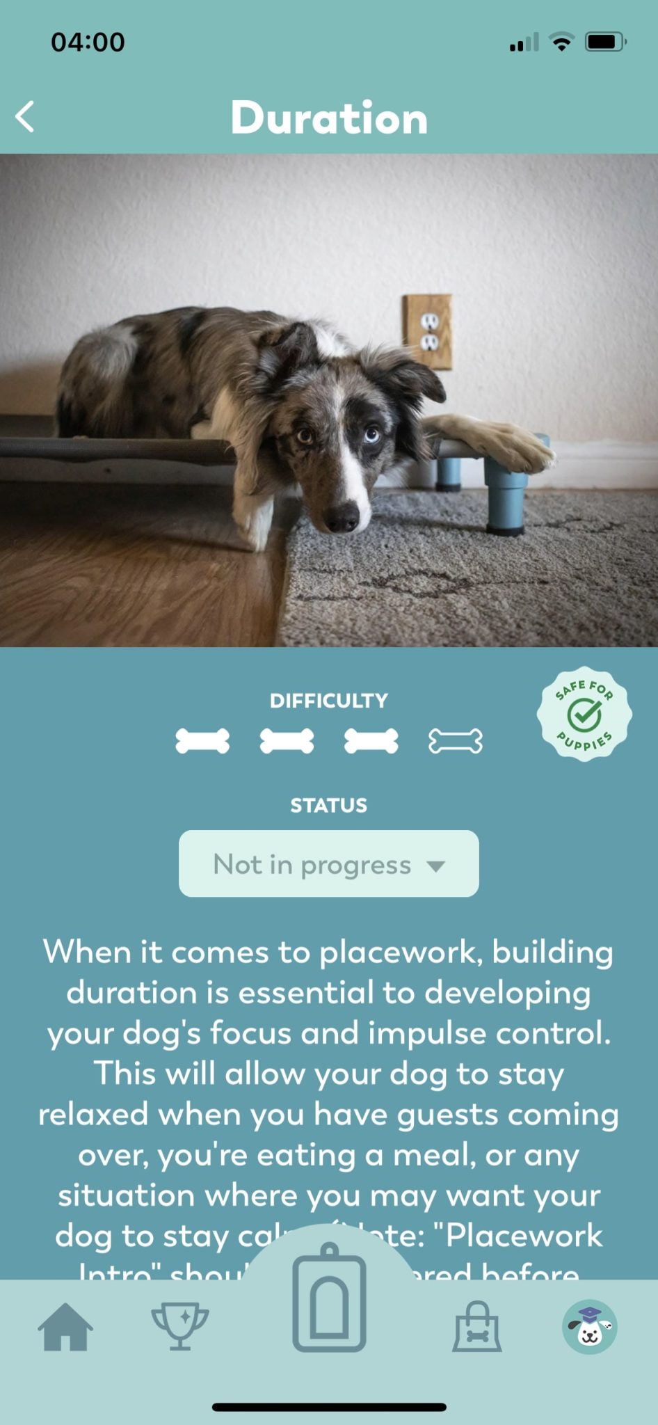 11 Best Dog Training Apps 2025 (Android & iOS) | Freeappsforme - Free apps for Android and iOS