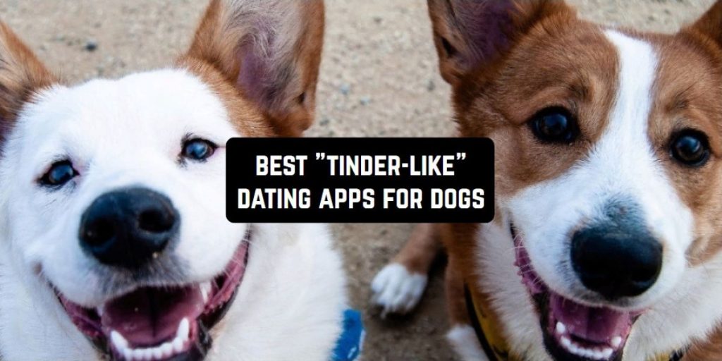 7 Best “Tinder-Like” Dating Apps for Dogs | Freeappsforme - Free apps ...