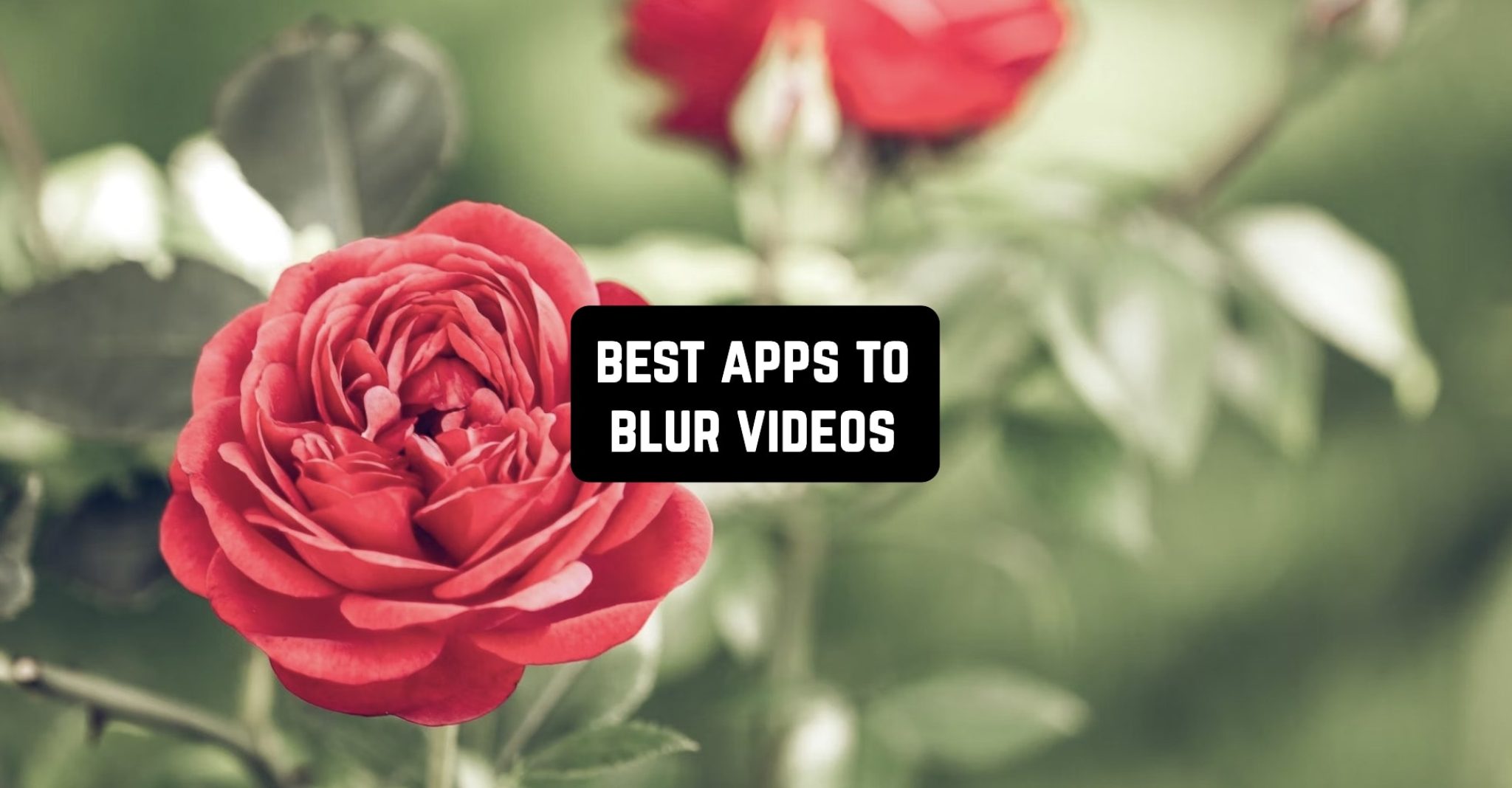 11 Best Apps to Blur Videos for Android & iOS in 2025 | Freeappsforme - Free apps for Android ...