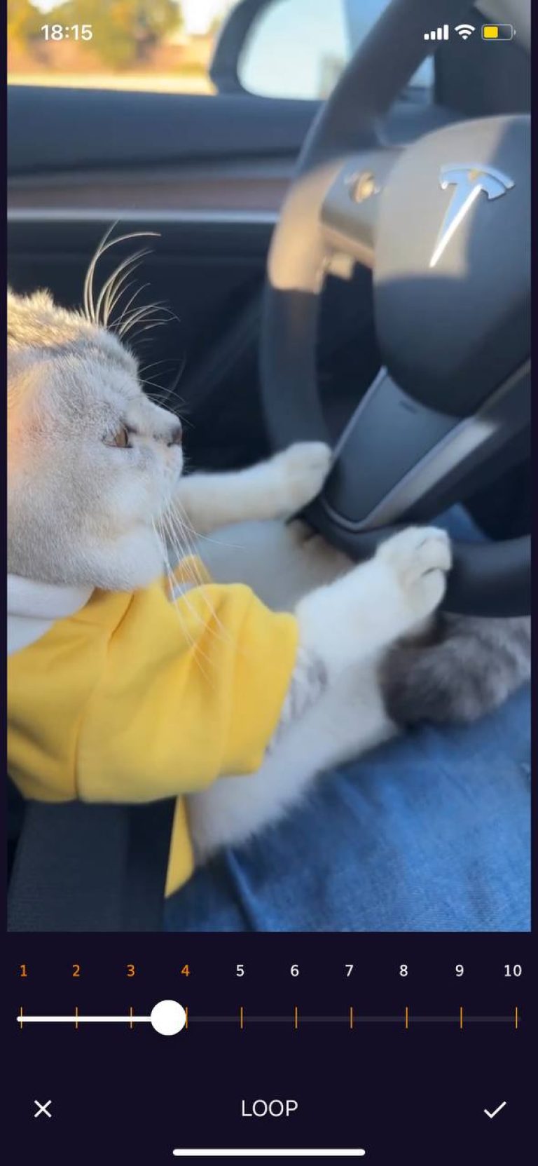 6 Free Loop Video Apps for Android & iOS | Freeappsforme - Free apps ...