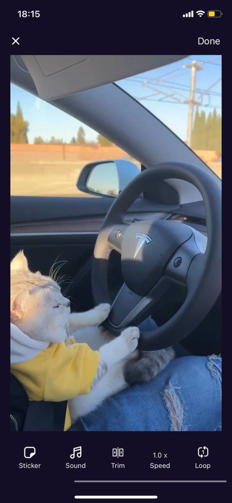 6 Free Loop Video Apps for Android & iOS | Freeappsforme - Free apps ...